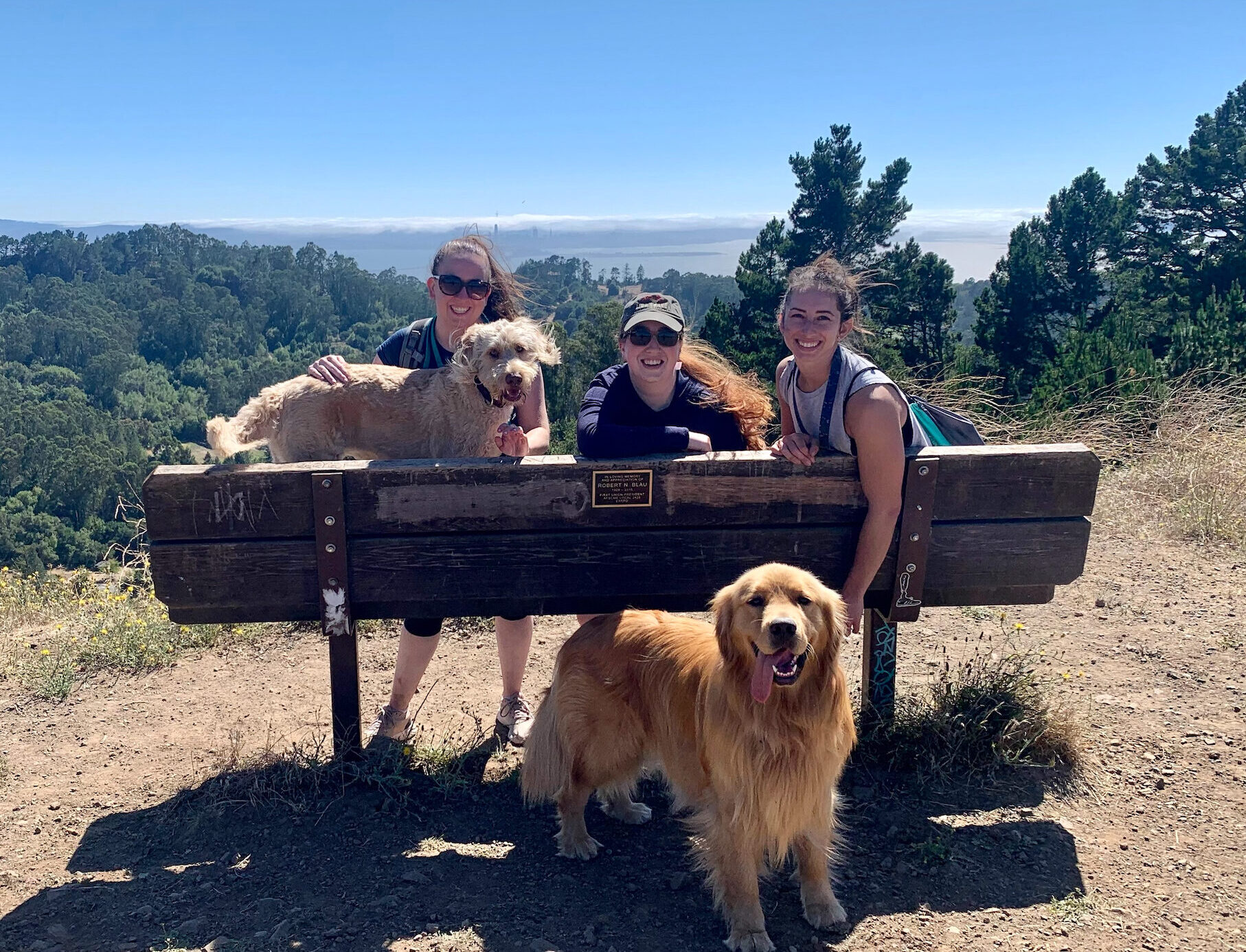 Pediatrics Oakland | Kaiser Permanente Undergraduate & Graduate Medical ...